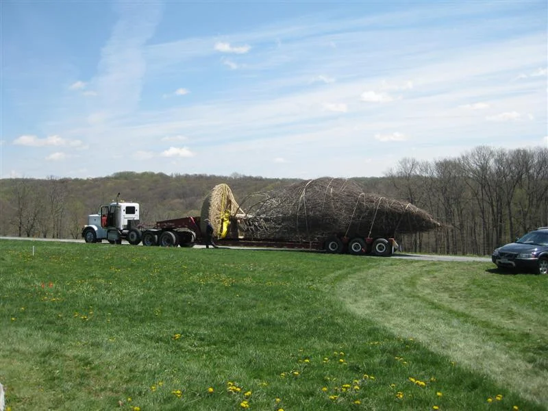 American Treescapes • Large Tree Experts • Large Beech Move