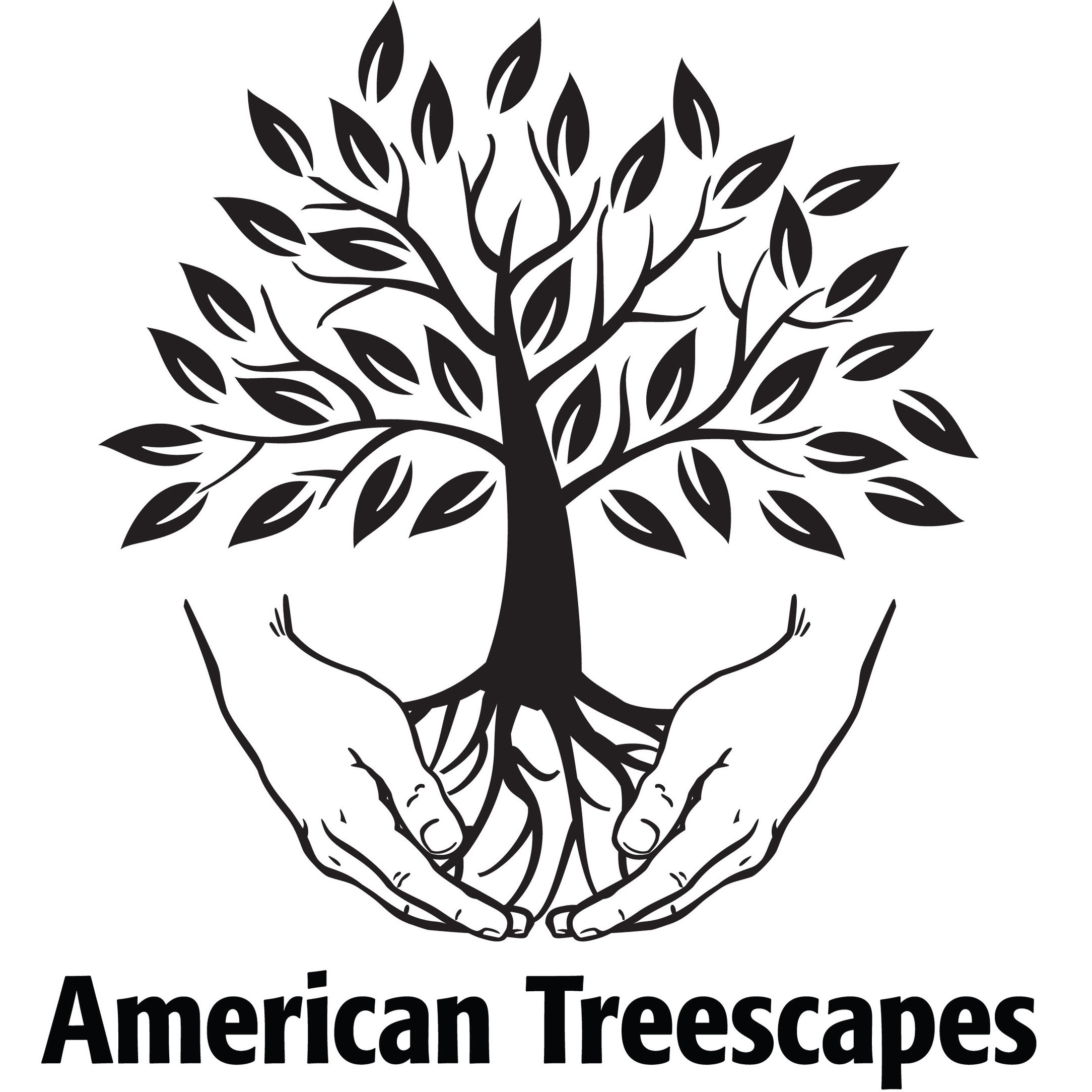 American Treescapes • Large Tree Experts • Contact American Treescapes