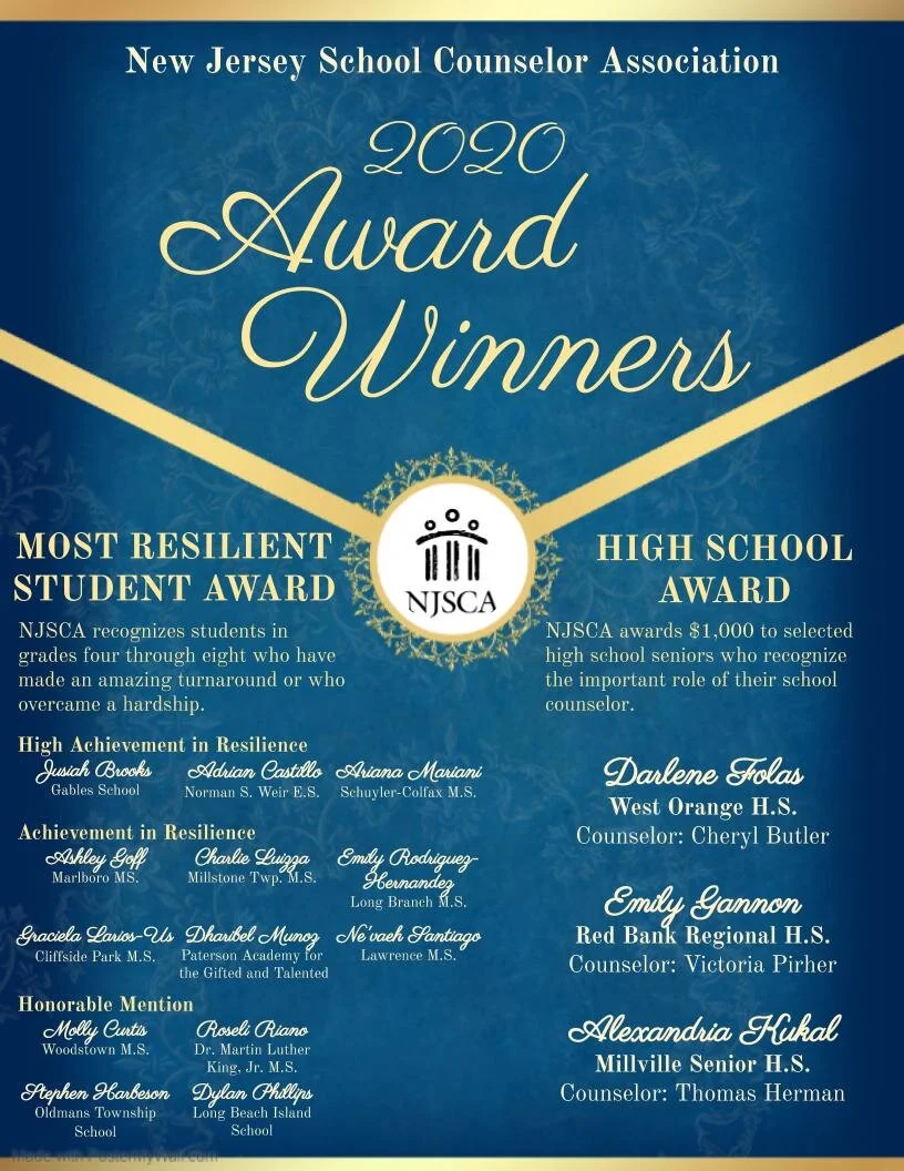 High School Award — NJSCA | New Jersey School Counselors Association