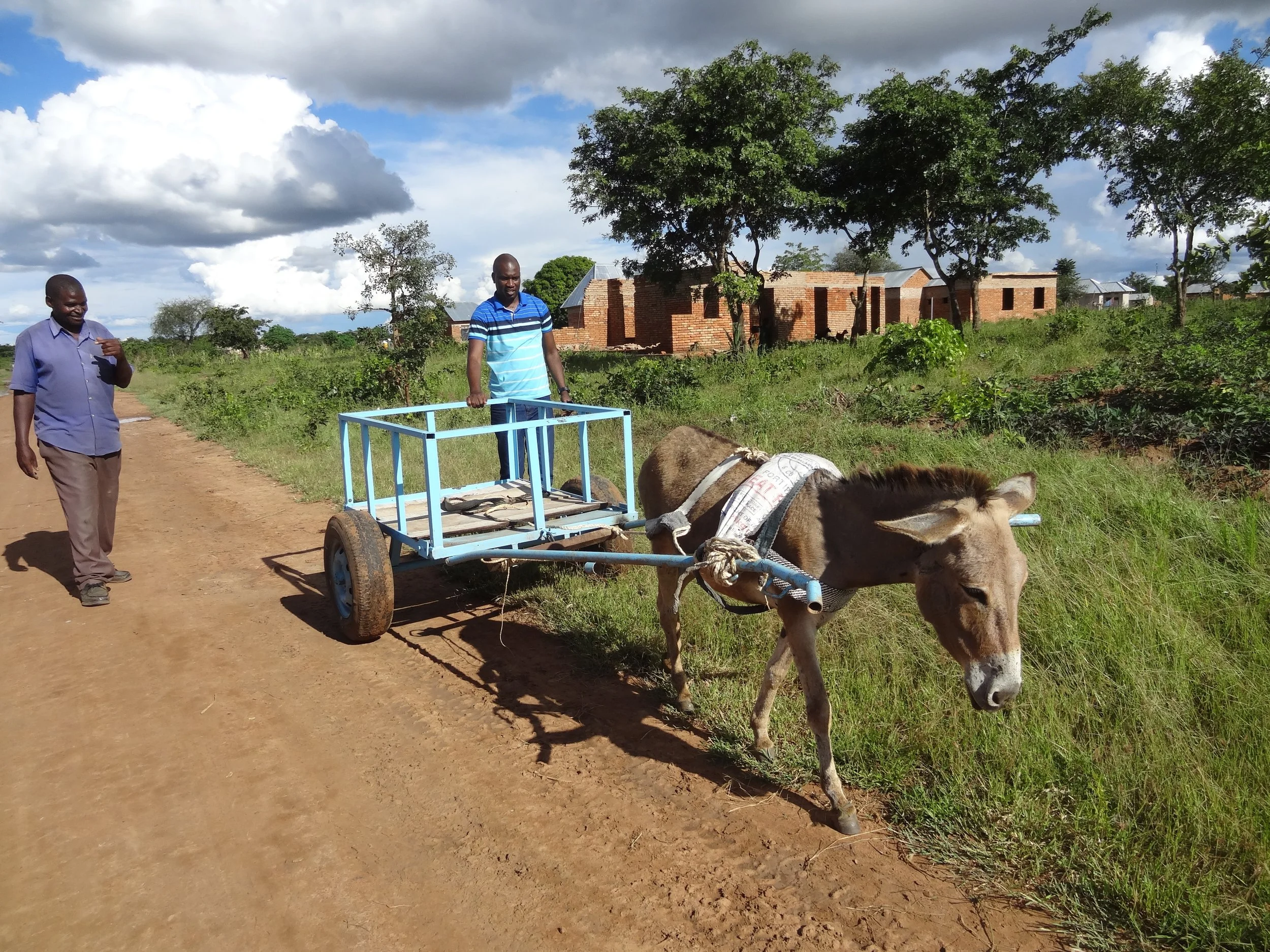 Ethical Jobs will DOUBLE your DONATION to Animal Aid Abroad in December ...