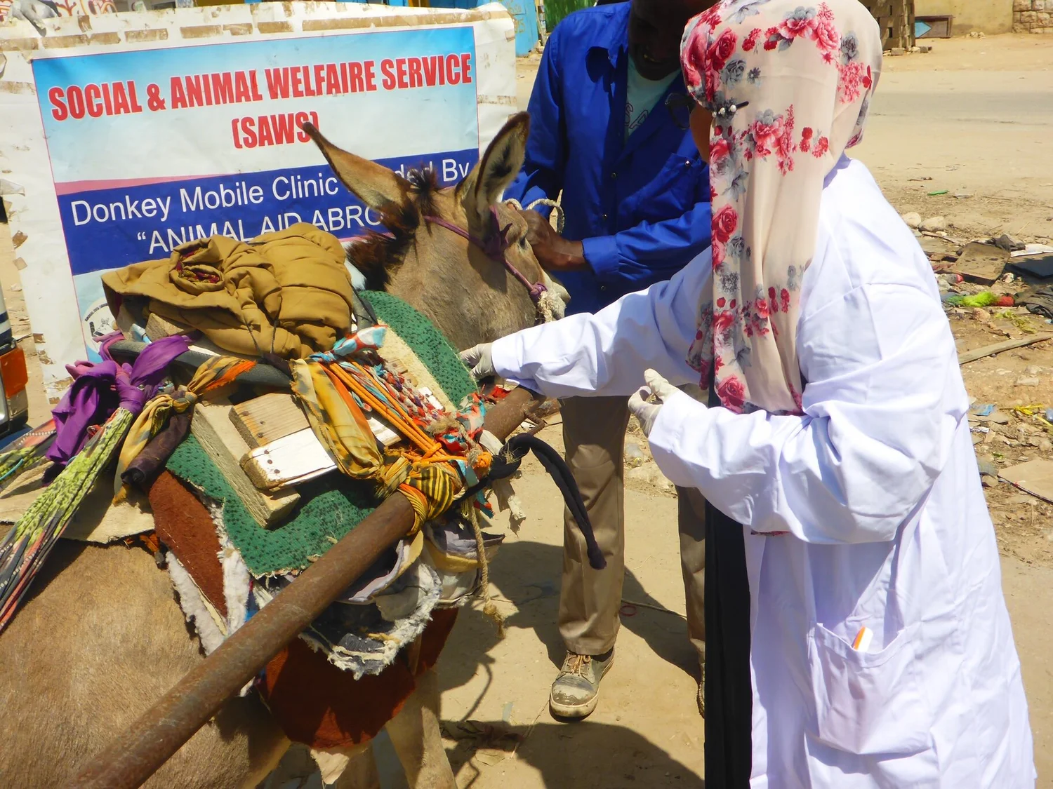 Overworked Donkeys in Somaliland Receive Free Vet Care — Animal Aid Abroad