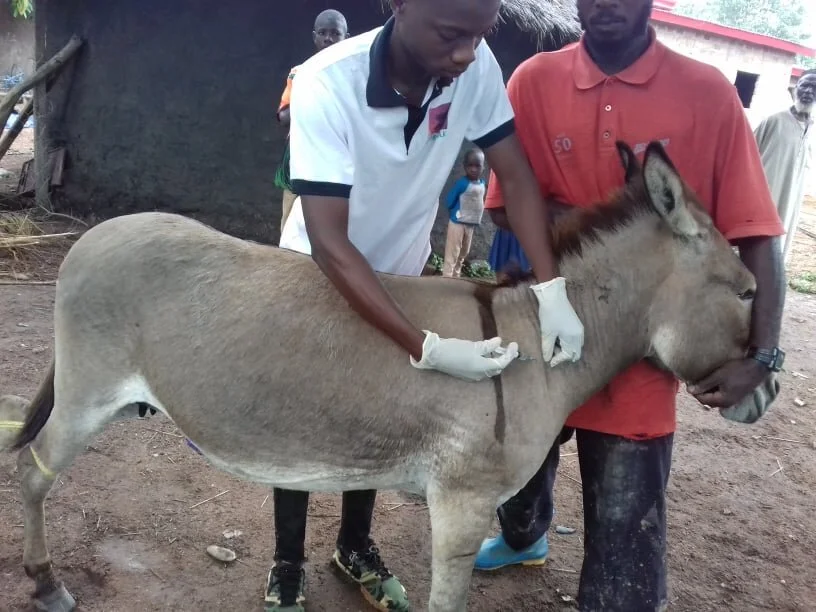 Liberian Animal Welfare and Conservation Society (LAWCS) - June Report ...