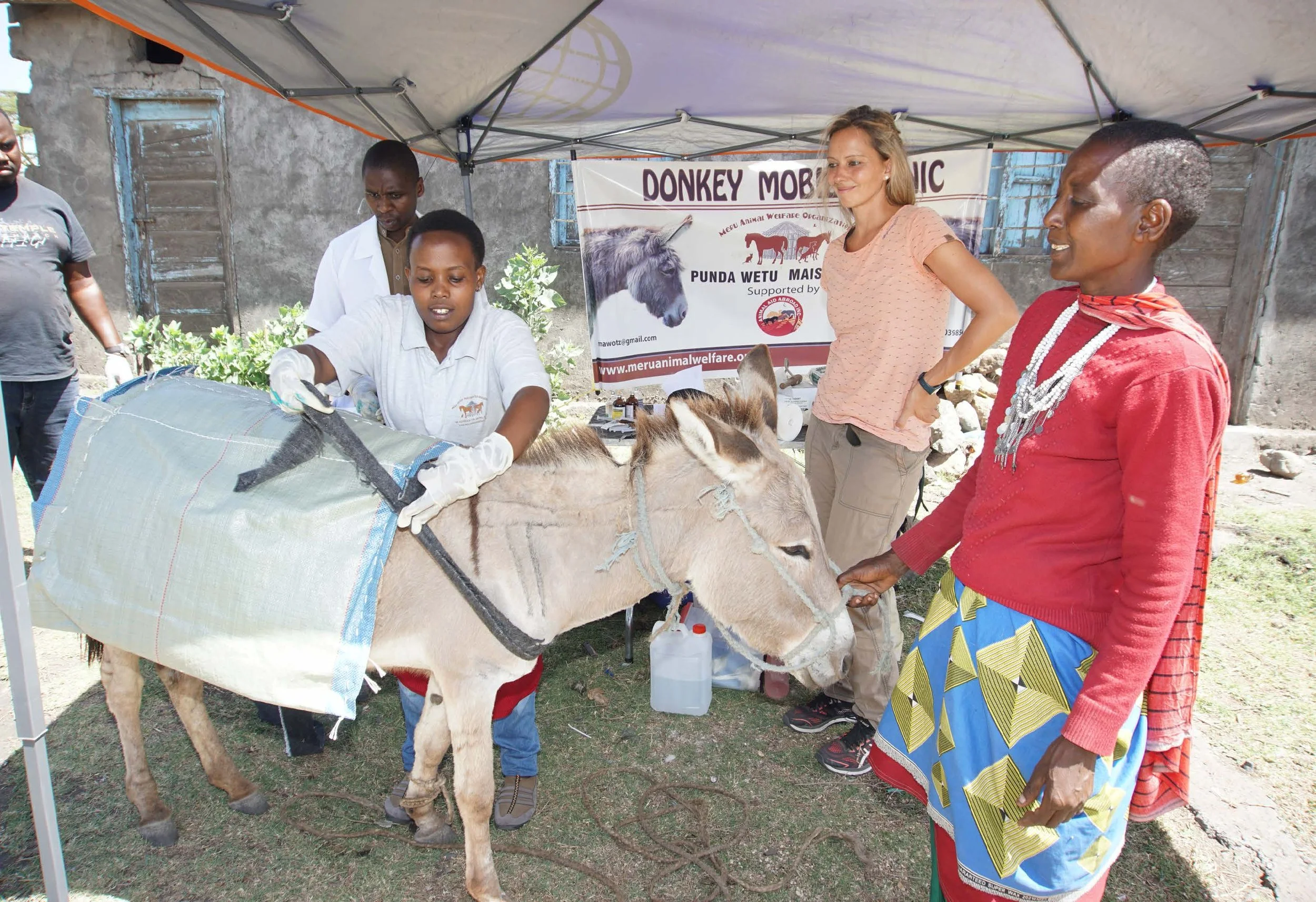 Meru Animal Welfare Organisation (MAWO) Second January 2023 update ...