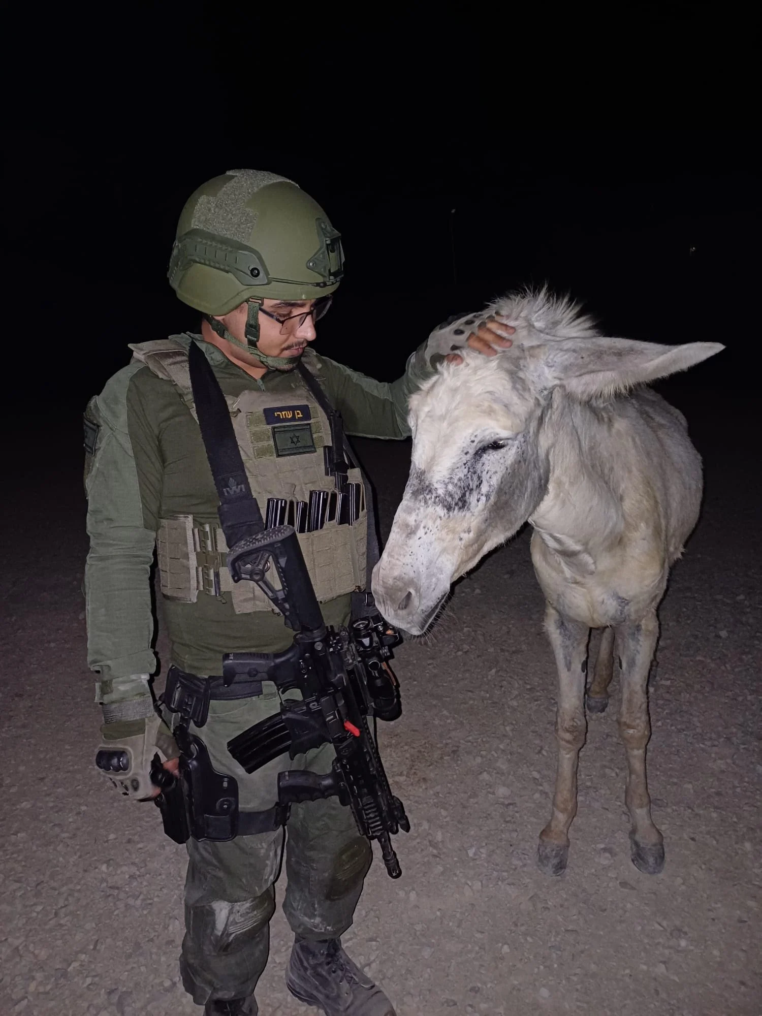 Store — Animal Aid Abroad