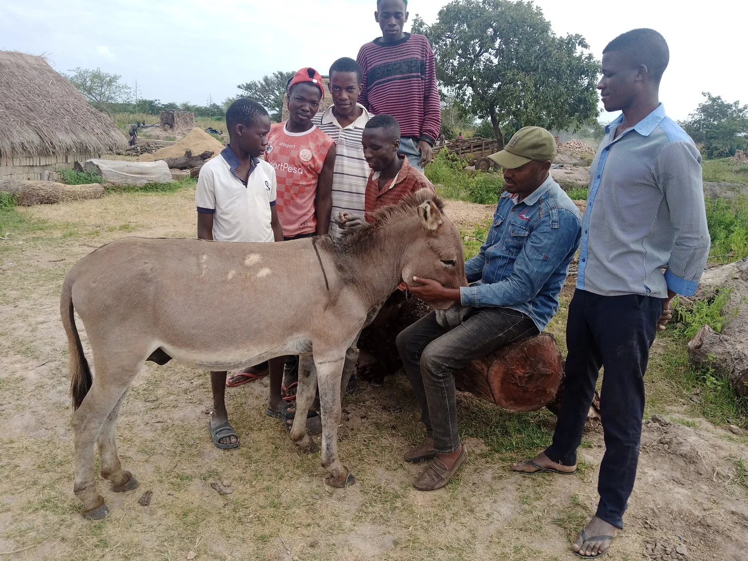 Making a Difference for Vulnerable Working Donkeys in Tanzania — Animal ...