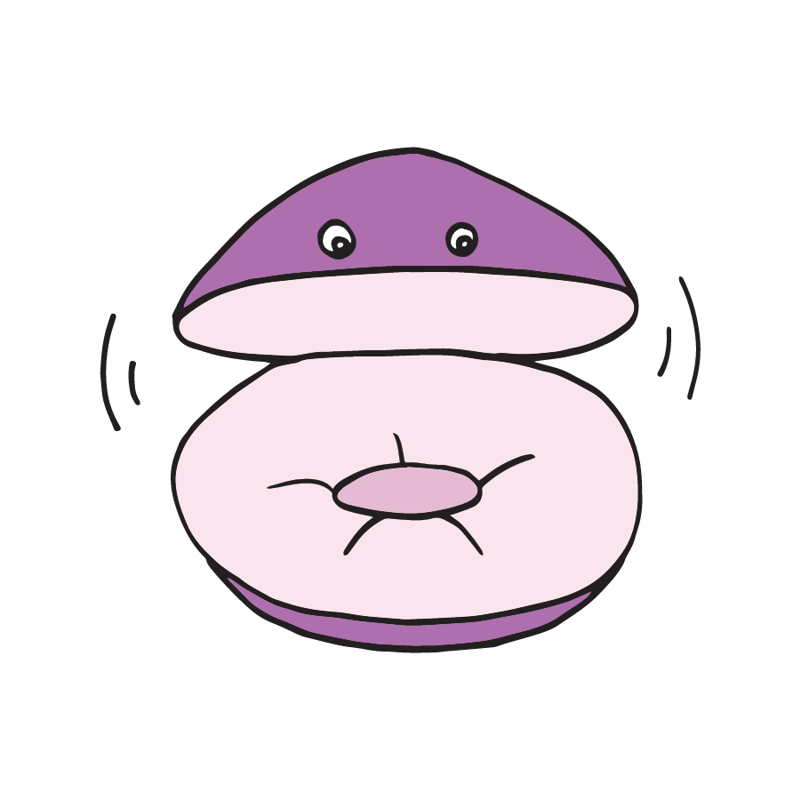 Level 3 Blended Beginning Sounds Ideas — ABC See, Hear, Do