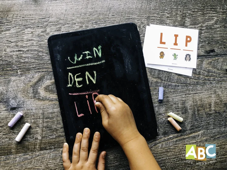 Path to Reading, Step 4: Phonics — ABC See, Hear, Do