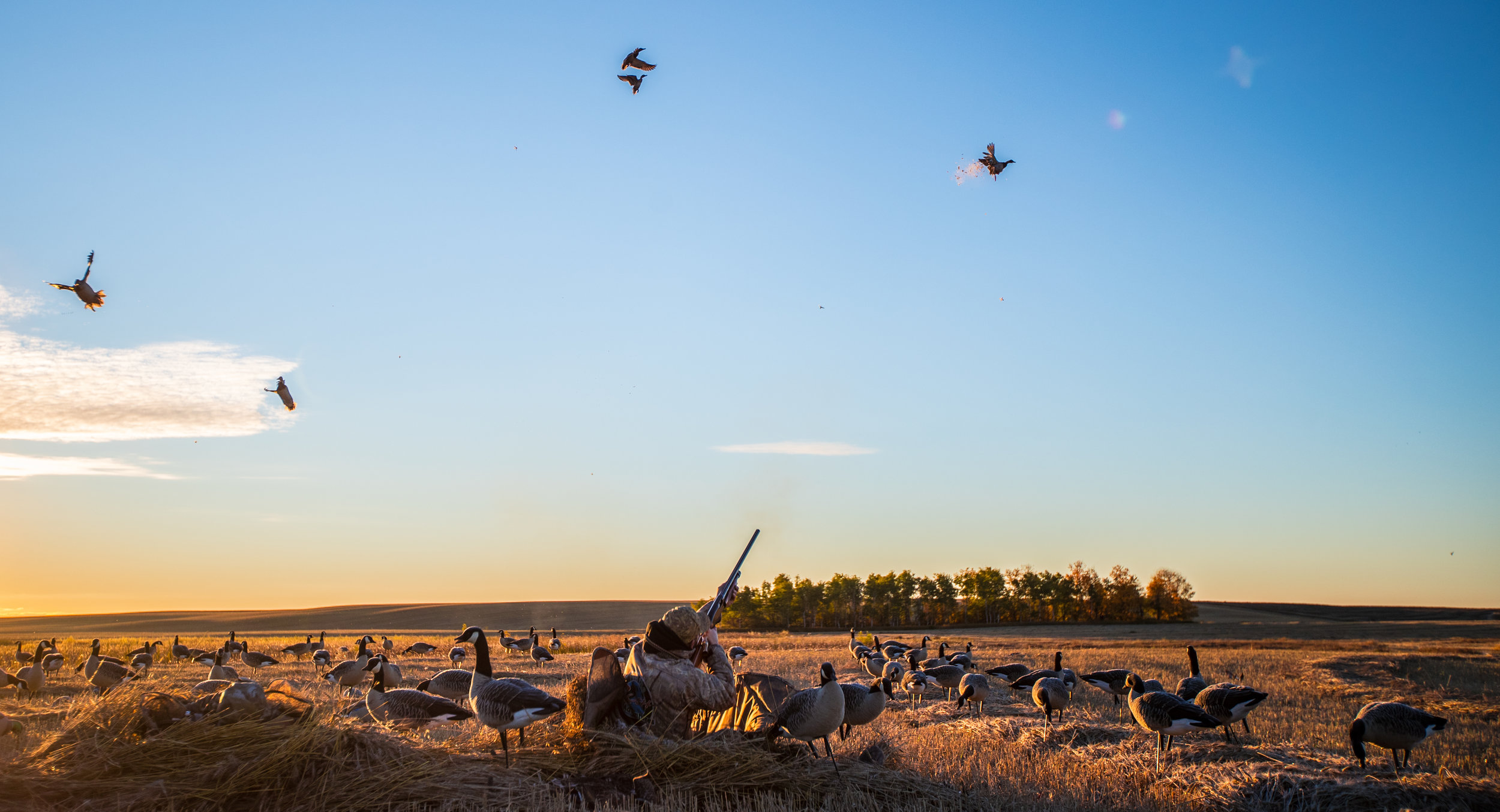 NFZ Waterfowl Outfitters - Guided waterfowl hunts in Saskatchewan