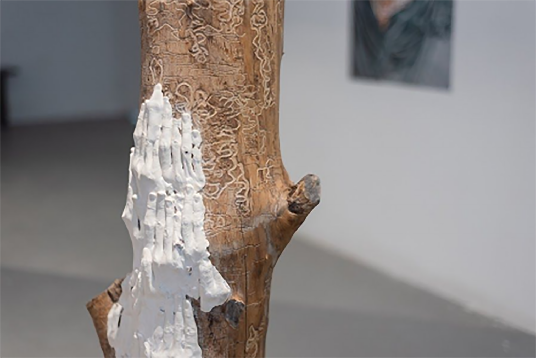 Sheri Osden Nault: Art beyond the binary – CanCulture Magazine