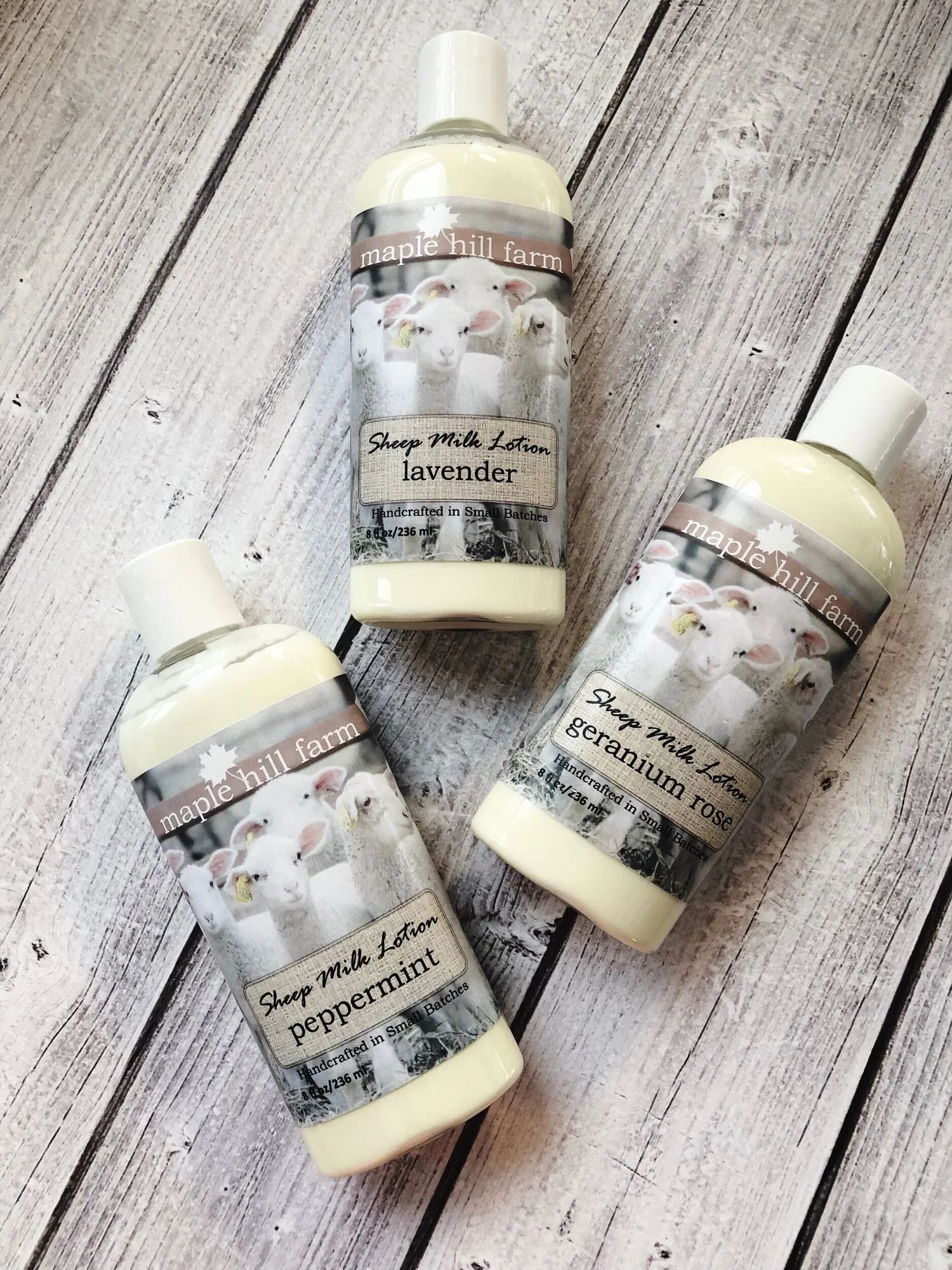 Sheep Milk