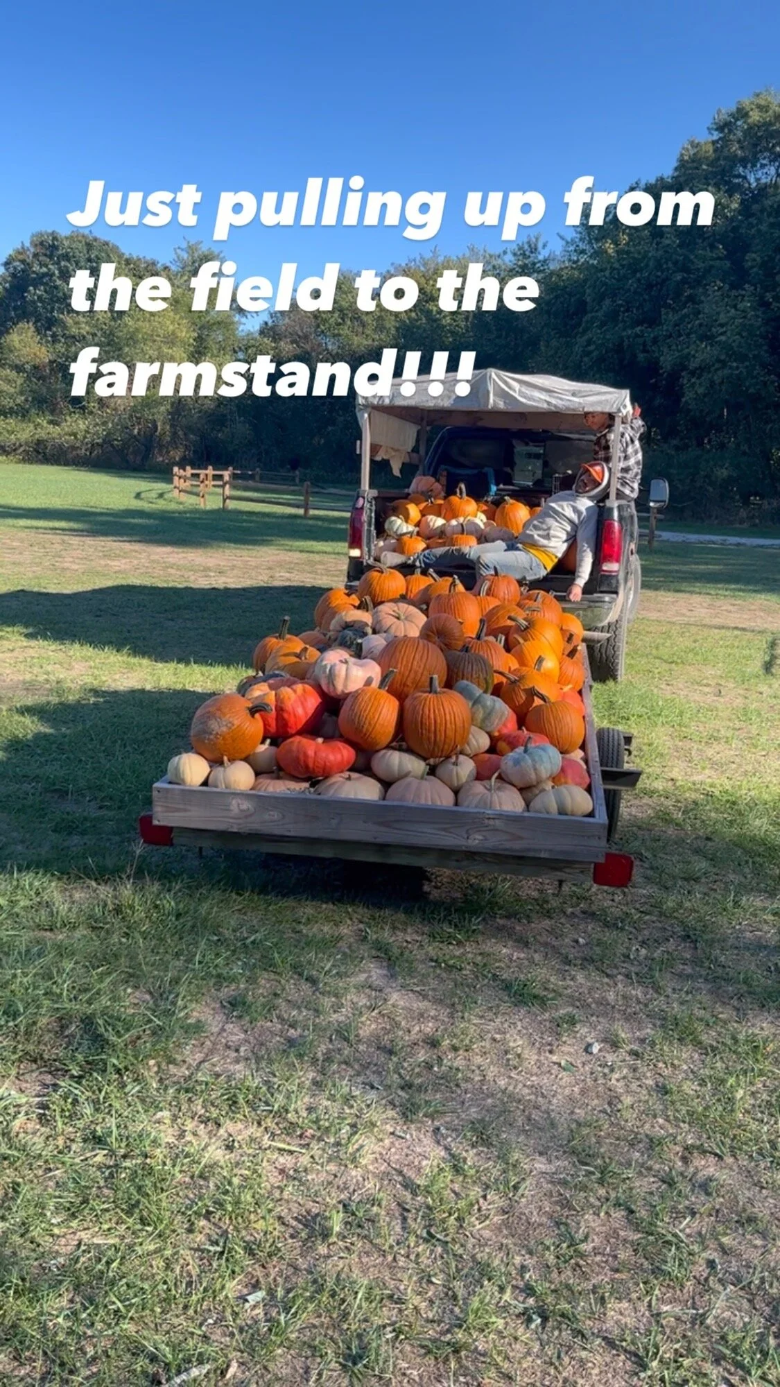 HOG Farm: Hamlet Organic Garden