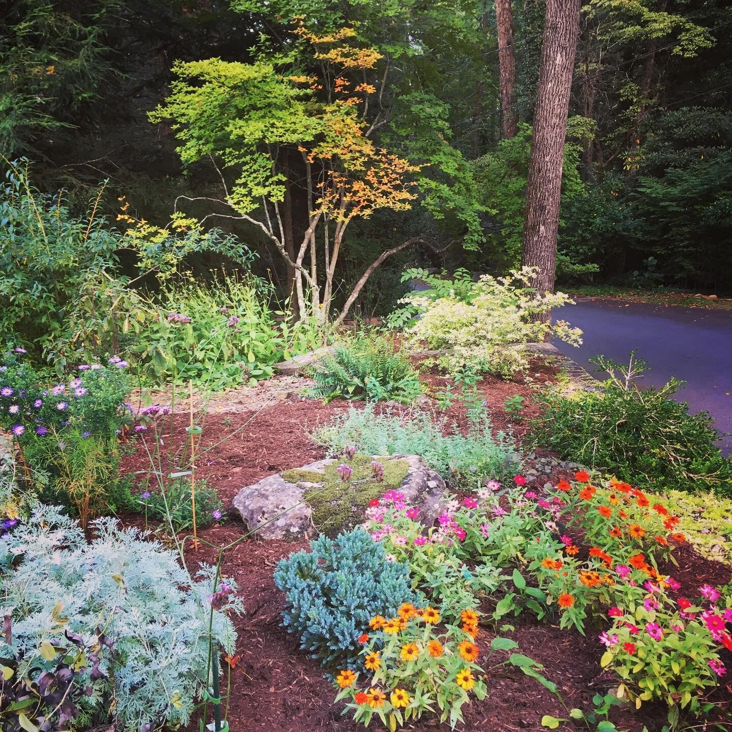Songbird Garden Care