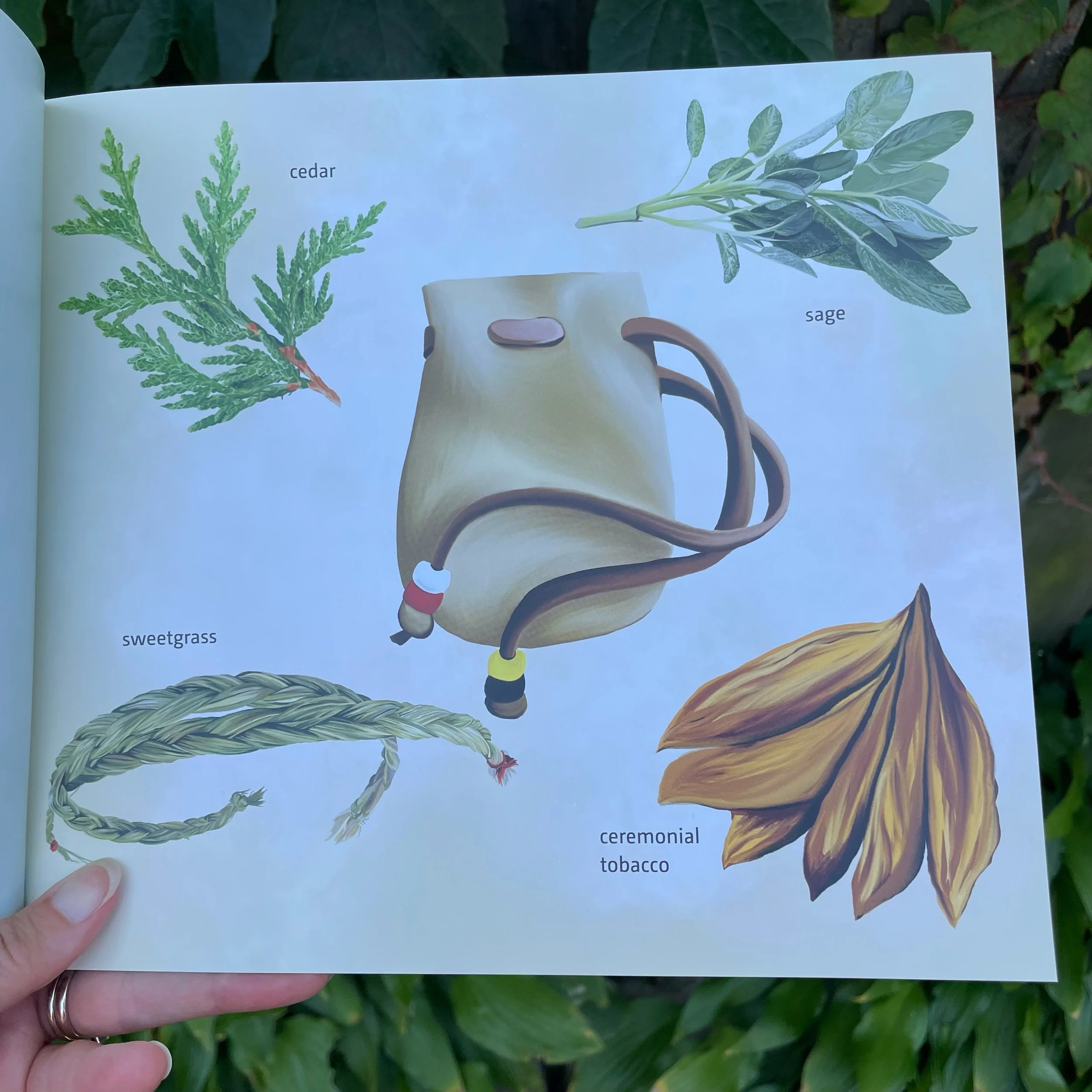 Sweetgrass — STORYTIME WITH STEPHANIE