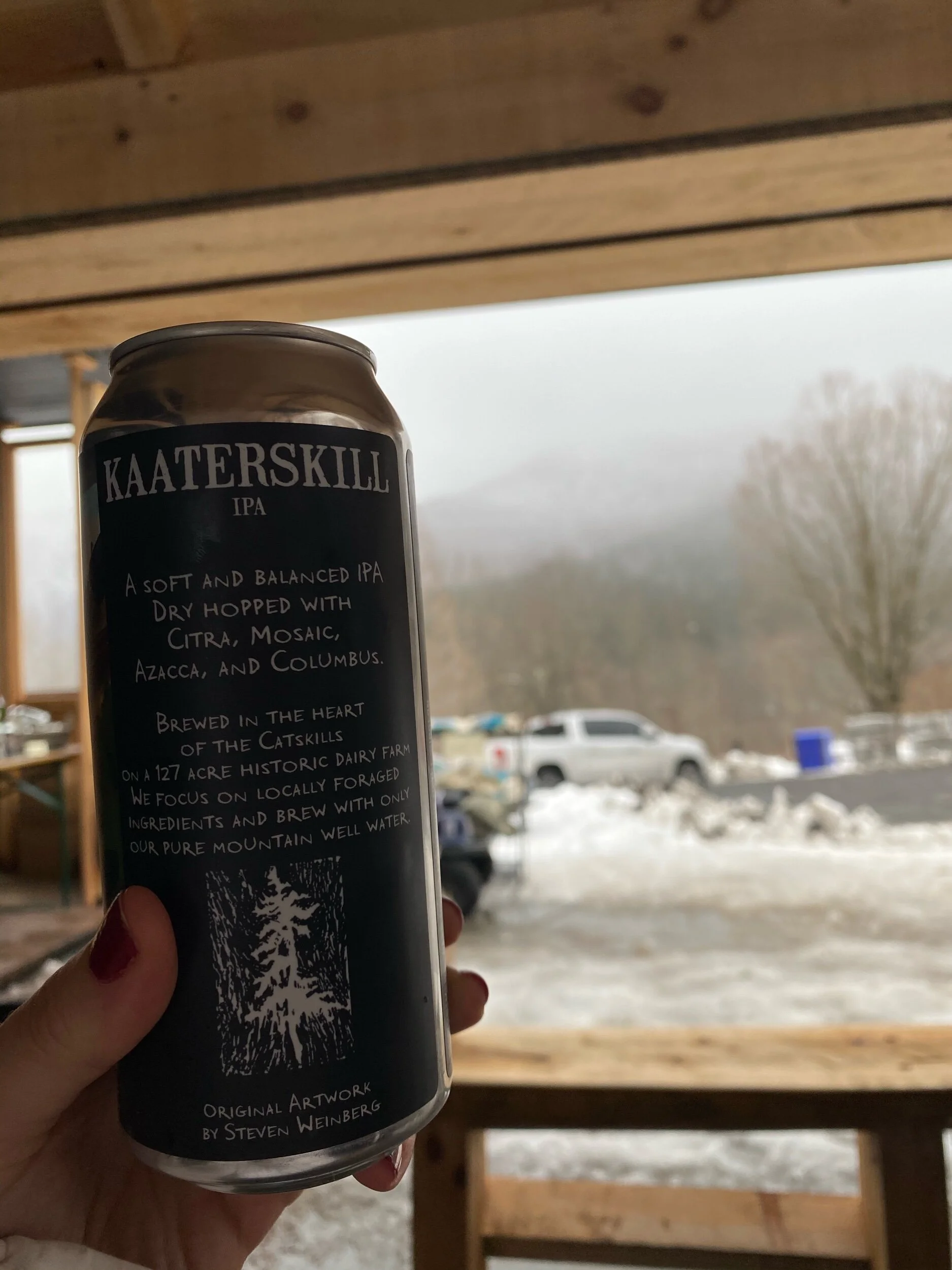 Catskills Guide: Heart of the High Peaks Region, Ulster County ...