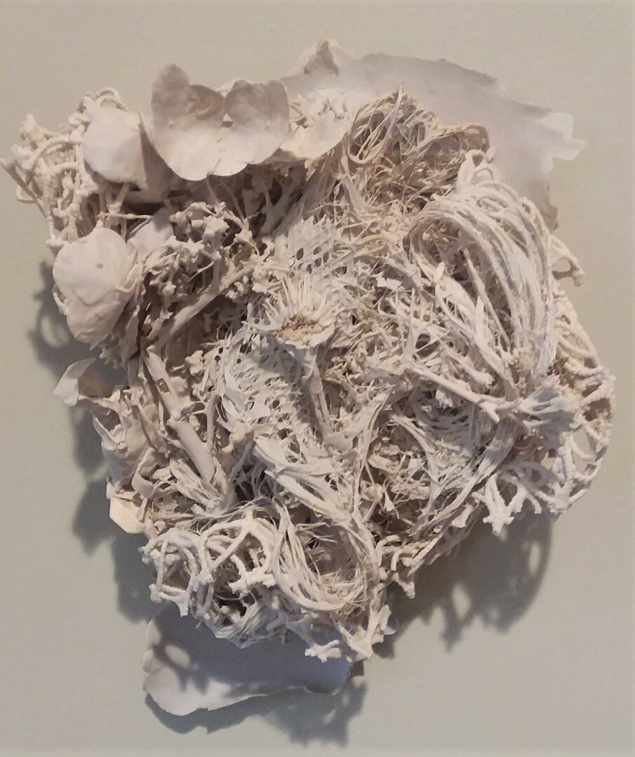 Past Work — Judith Weber