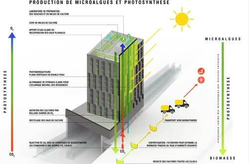 Biofaçades — XTU