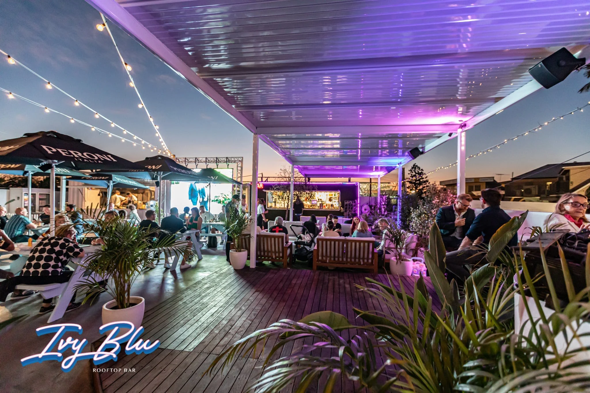 Nightlife — L Card