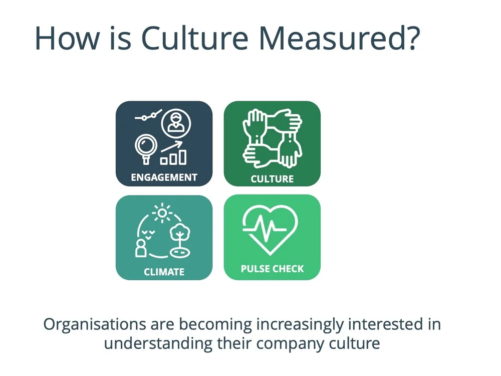 How can you Measure Organisational Culture? | myHRfuture