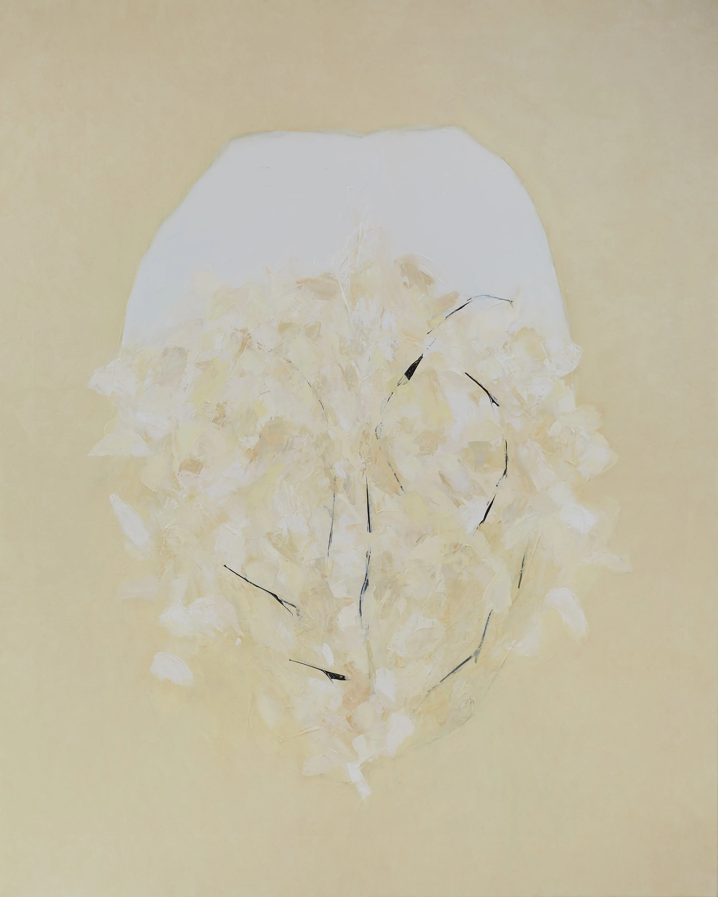 Work — Casey Walshe