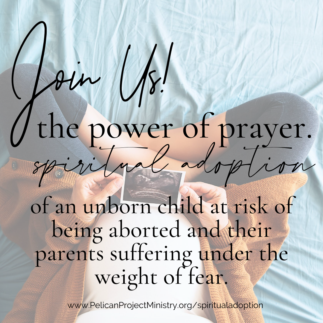 Spiritual Adoption — Pelican Project