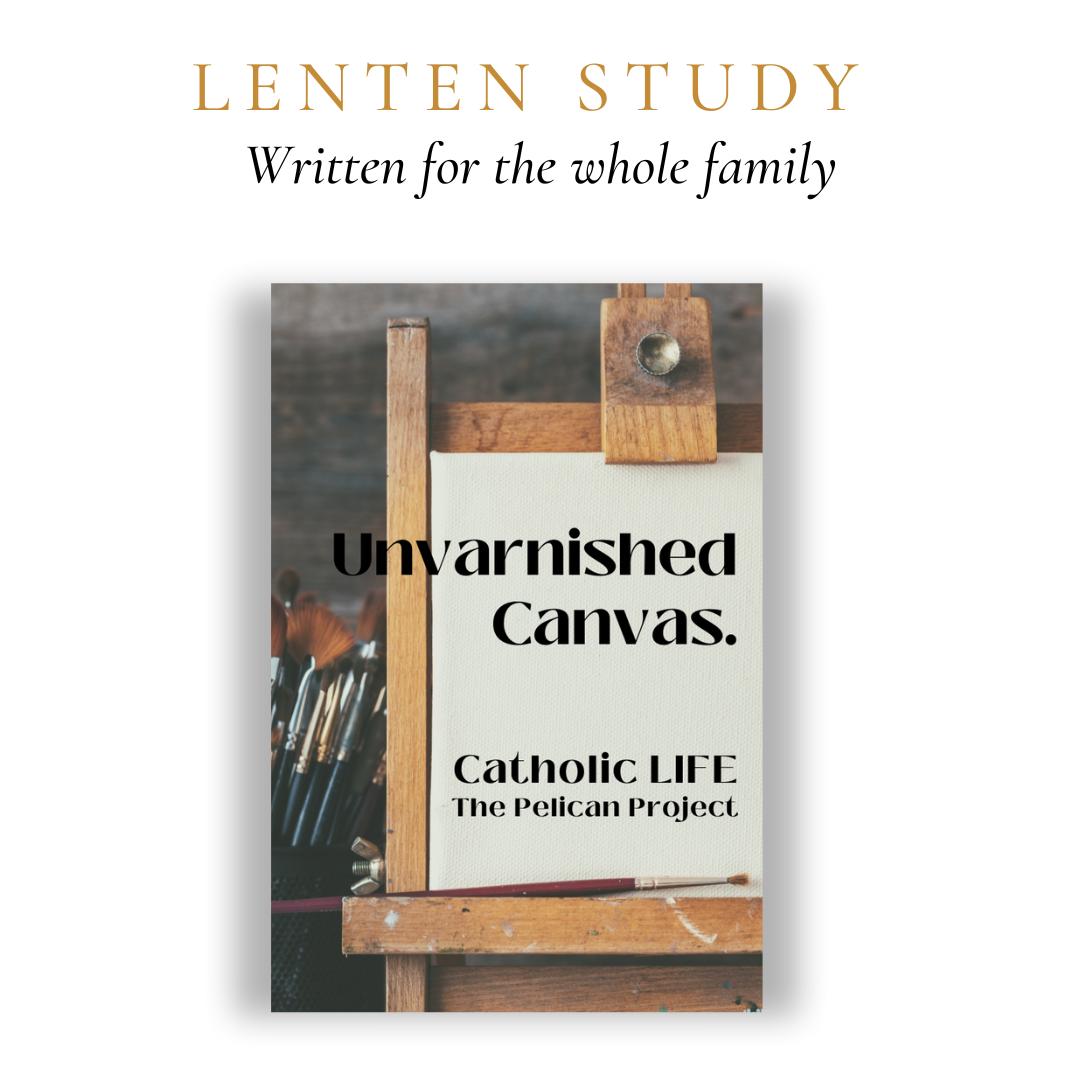 Tool Box — Pelican Project