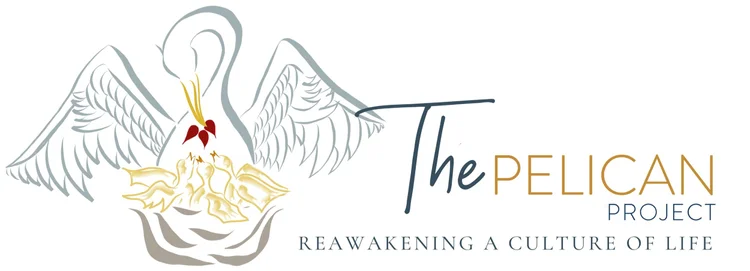 Pelican Project