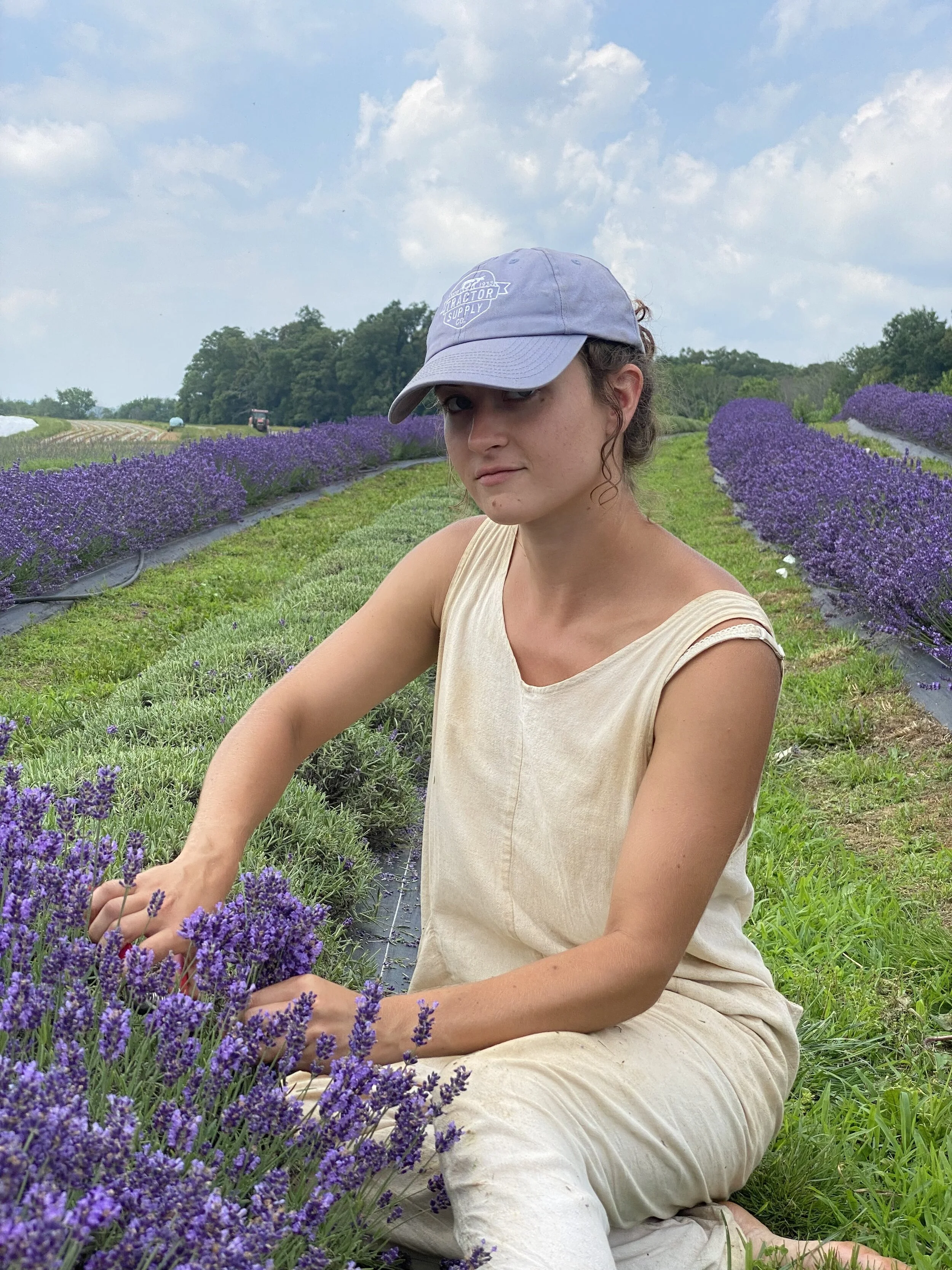 Our Farm Family — Star Bright Farm
