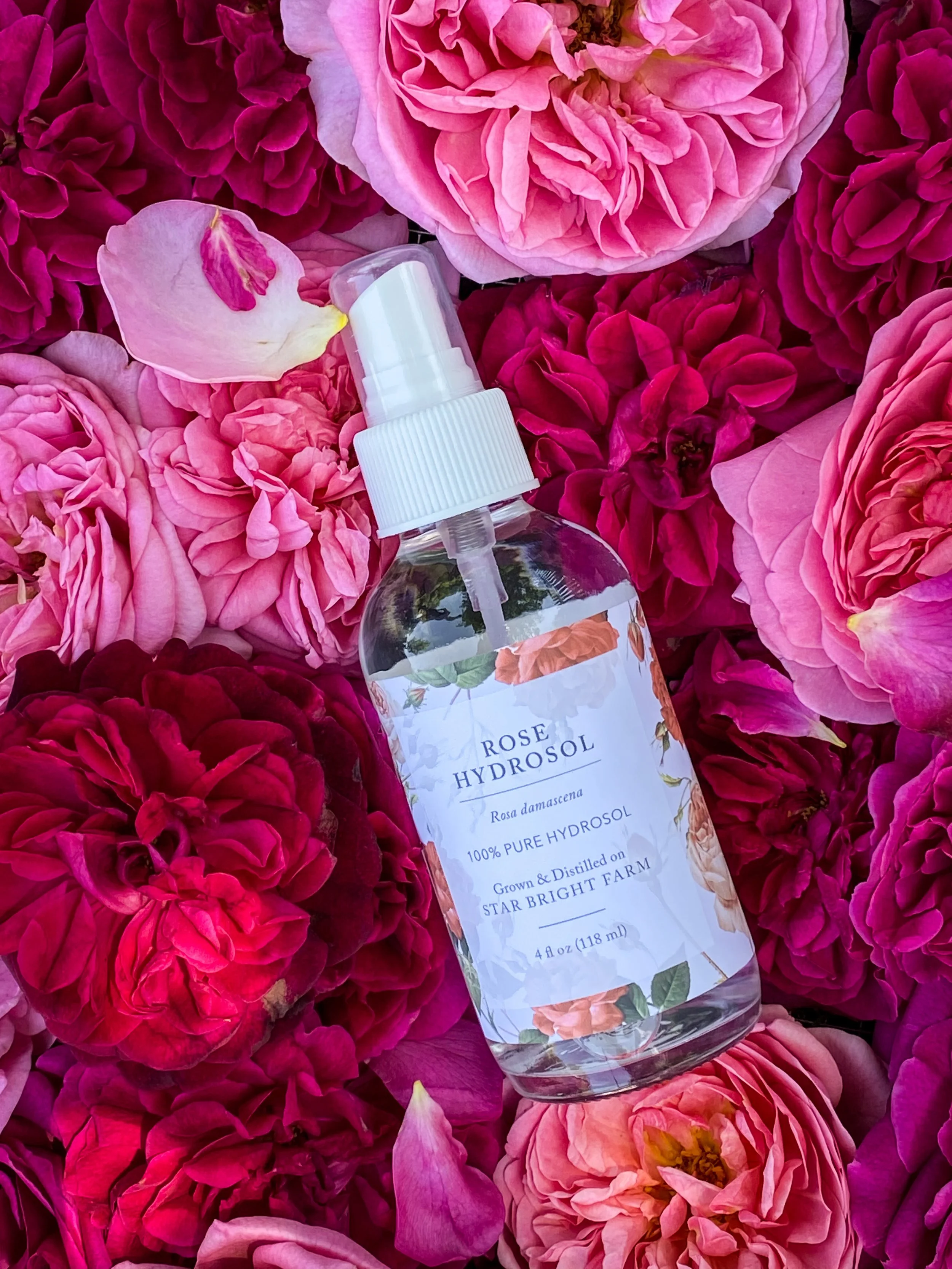 Lemon Balm (Melissa Officinalis) Hydrosol — Star Bright Farm