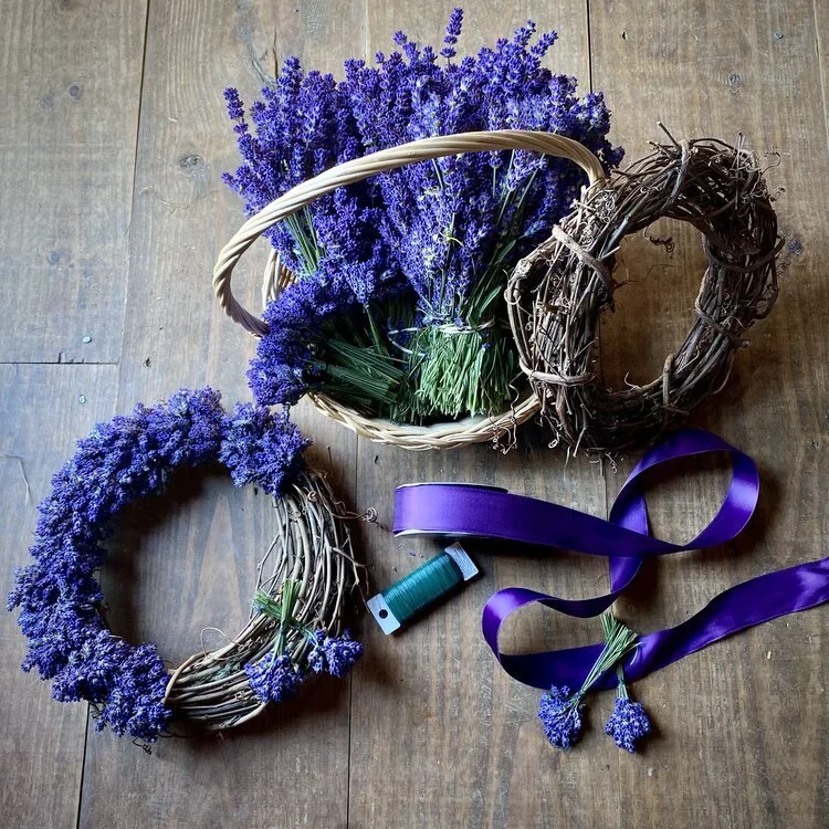 Events — Star Bright Farm