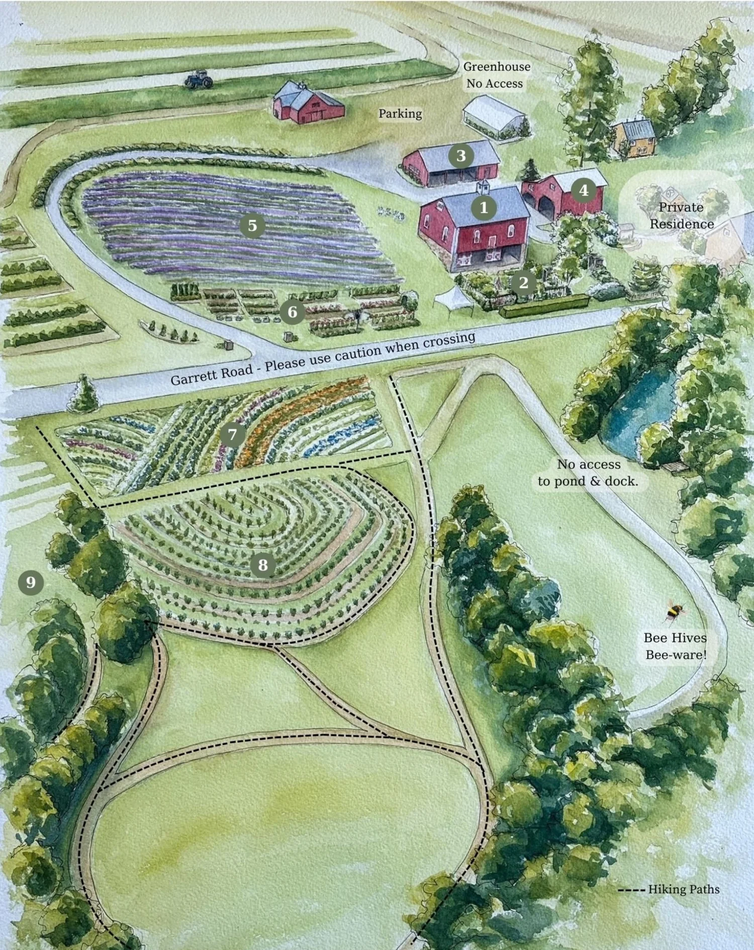 Farm Map & Visitor Guide — Star Bright Farm