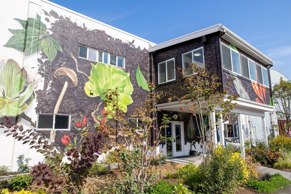 An Urban Solution For Ecological Death Care: Recompose's Founder and ...