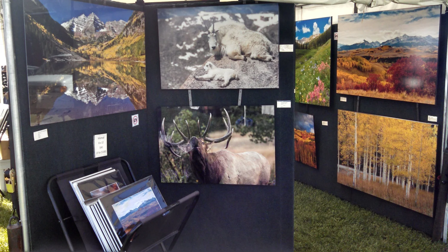 Photography Displays For Art Shows