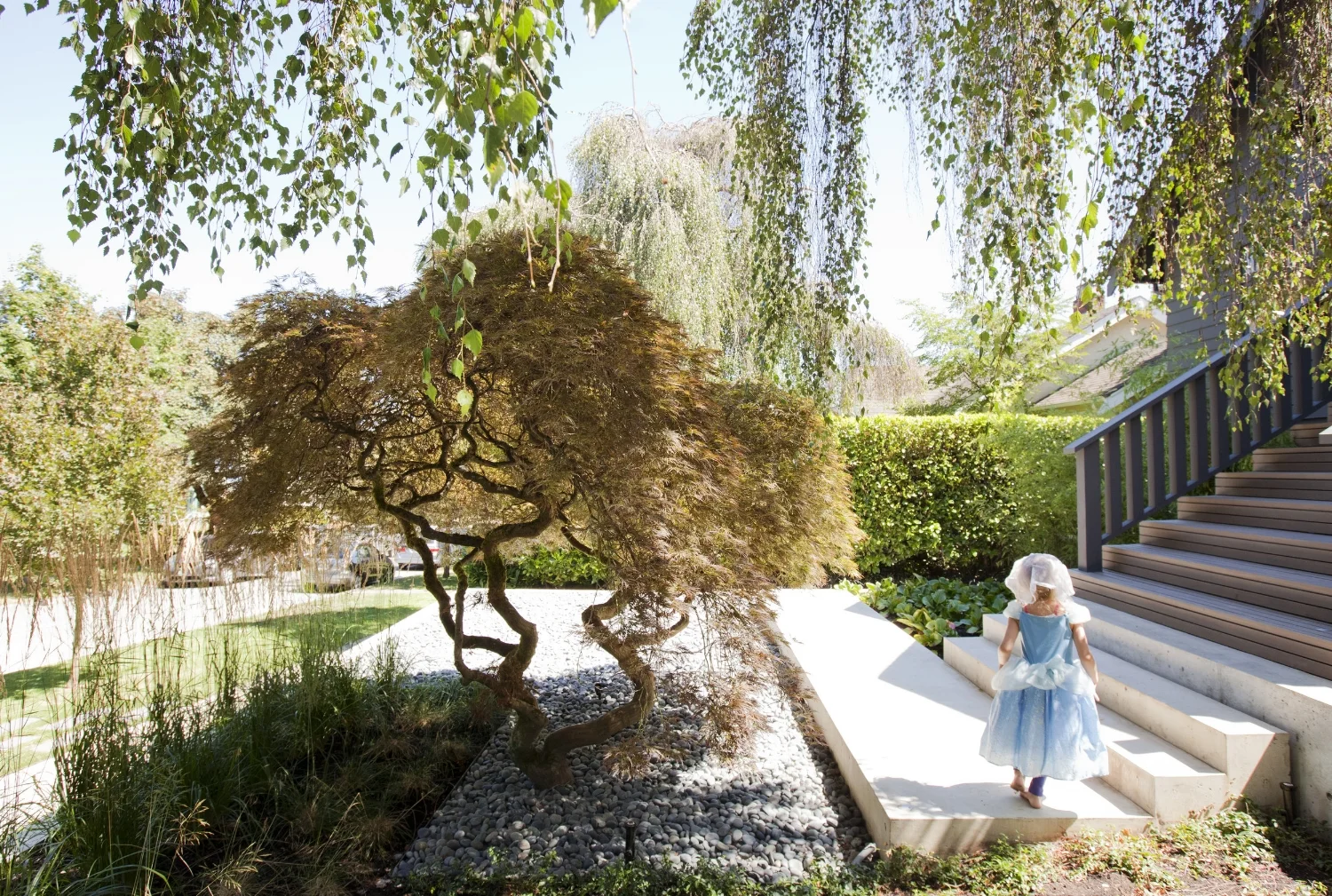 Considered Design Inc | Landscape Architects | Vancouver