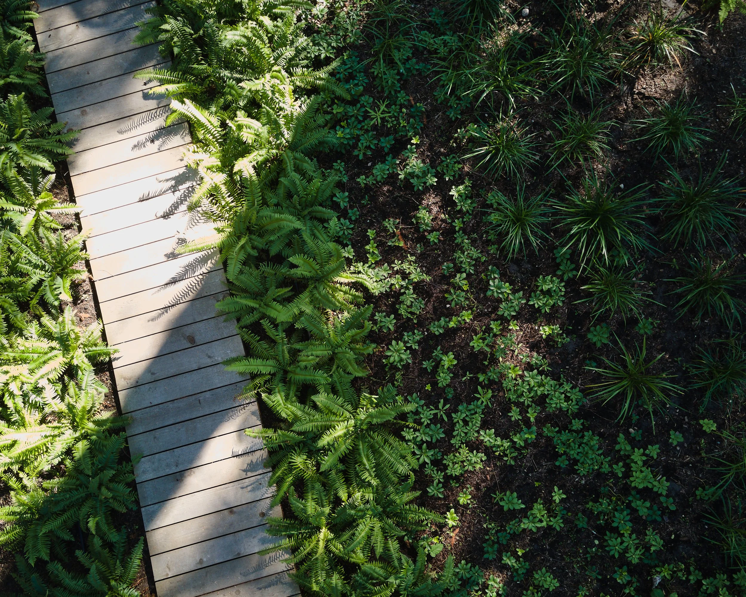 Considered Design Inc | Landscape Architects | Vancouver