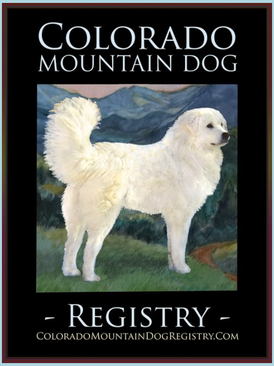 Concerning Large Scale Puppy Production — Colorado Mountain Dogs