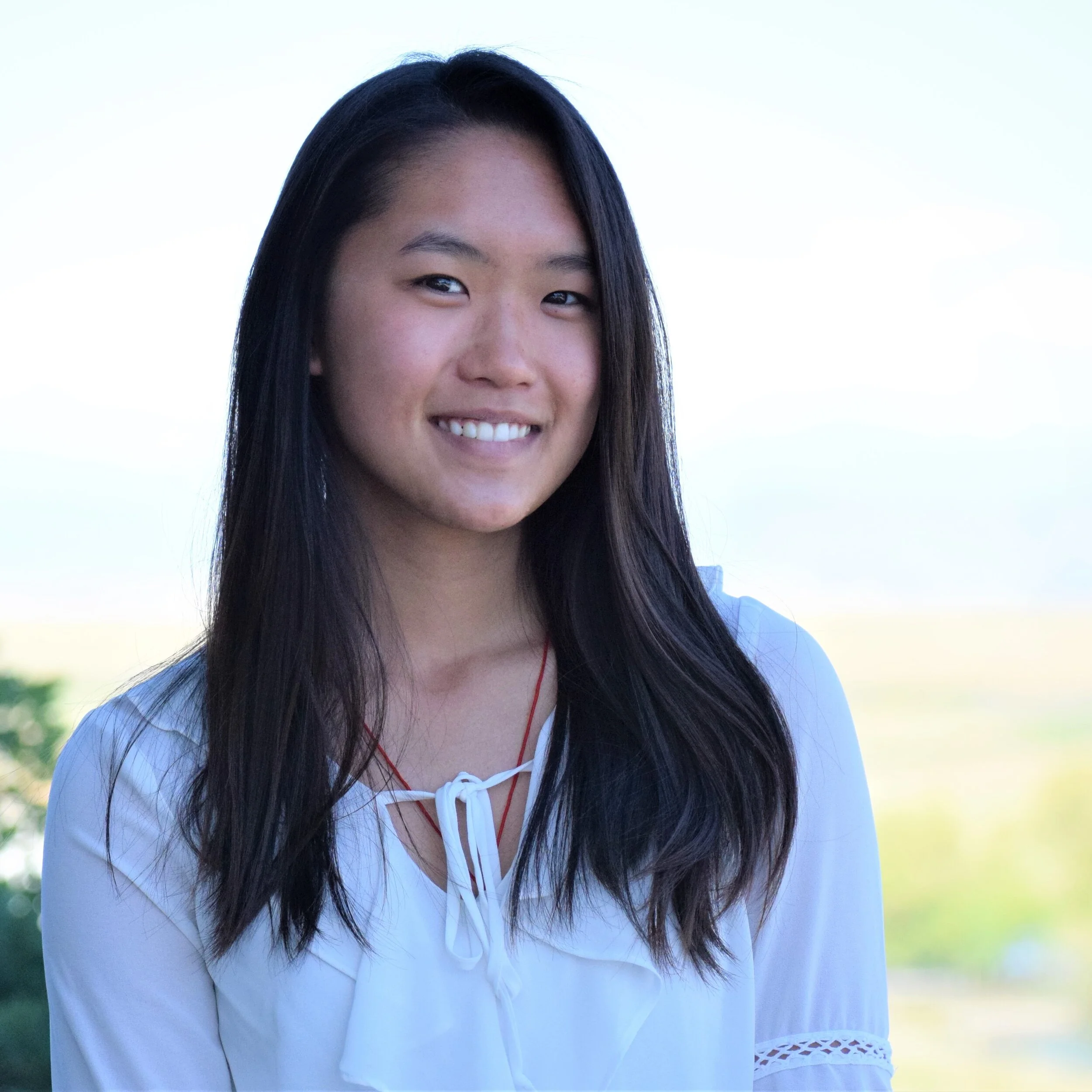 Team — Structural Electronic Materials