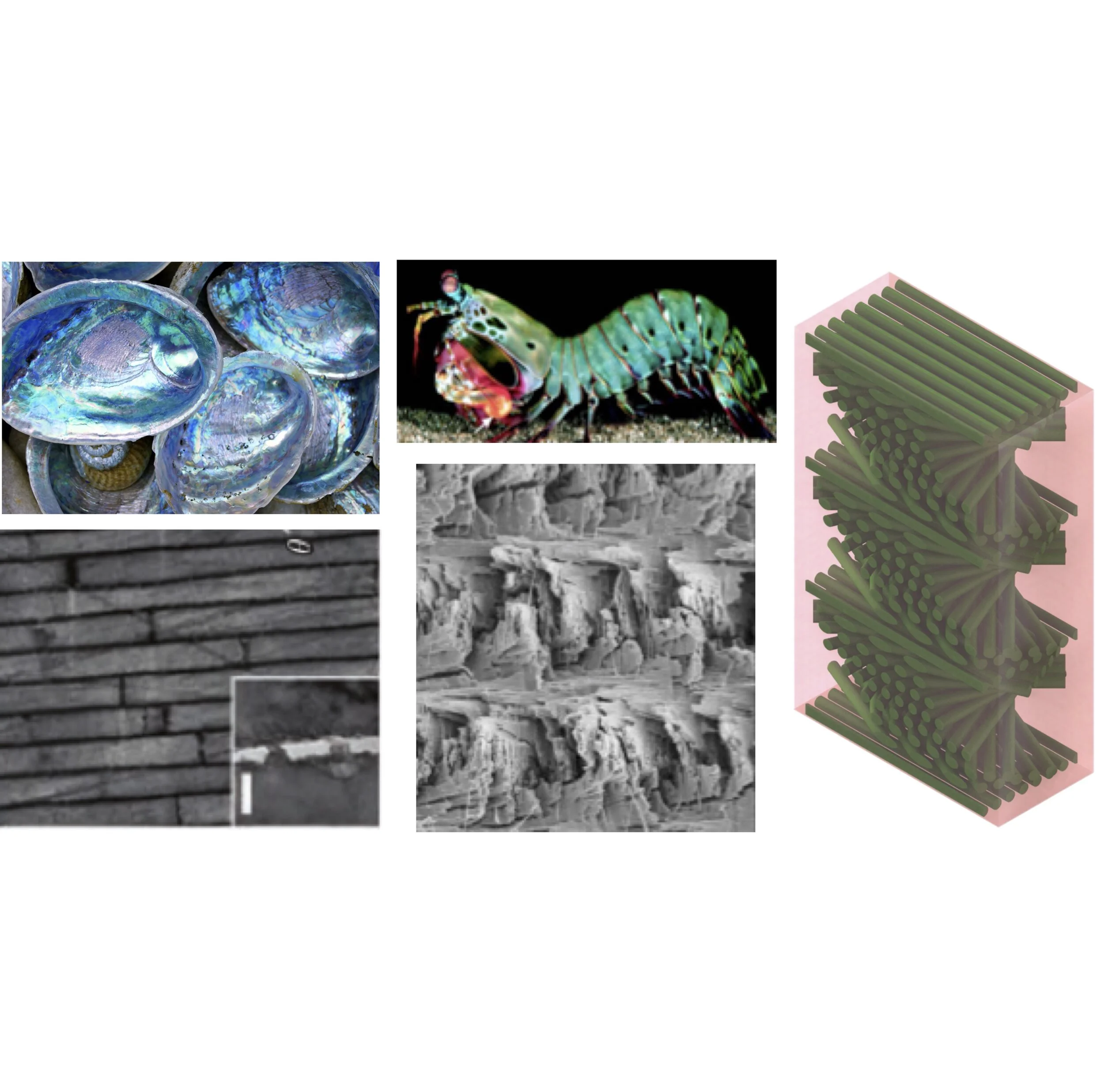 Research Overview — Structural Electronic Materials