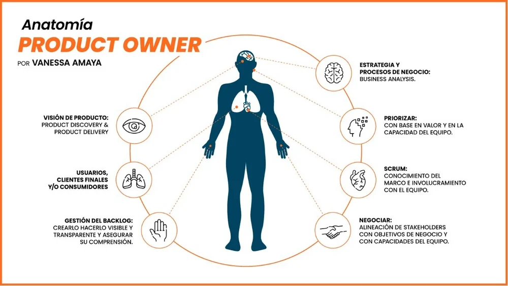 Product Owner (Anatomía) | Infografía — SCRUM MÉXICO