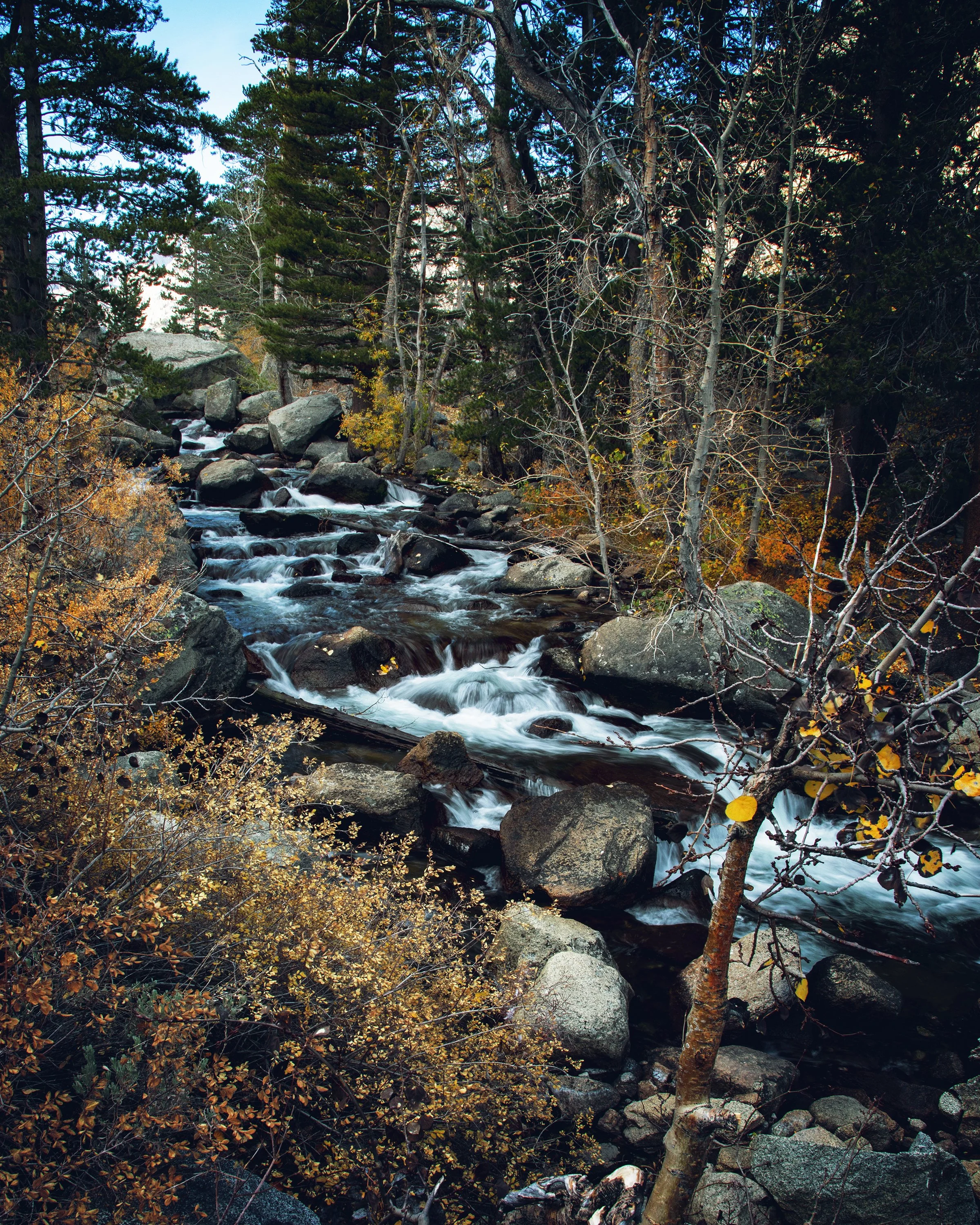 Top 10 Fall Colors Photo Spots (Bishop, CA) — Flying Dawn Marie ...
