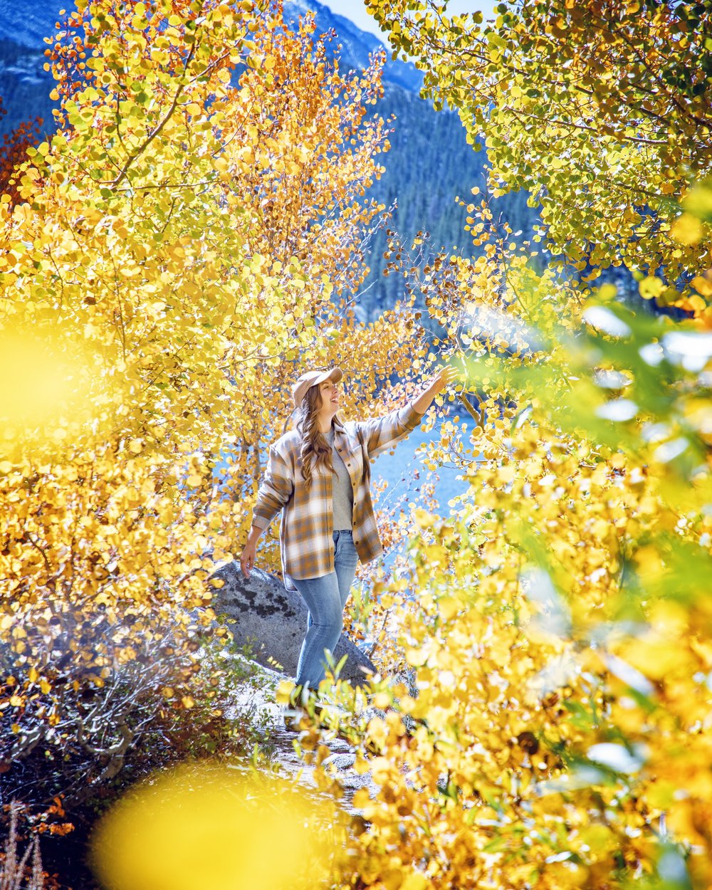 Eastern Sierra Fall Color Report (Mono County) **CURRENT CONDITIONS ...