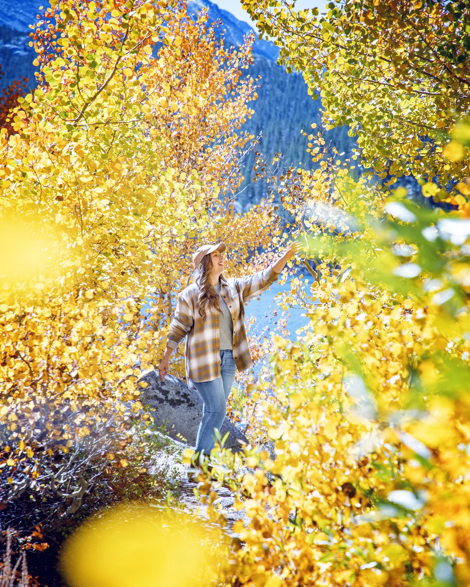 Eastern Sierra Fall Color Report (Mono County) **CURRENT CONDITIONS ...