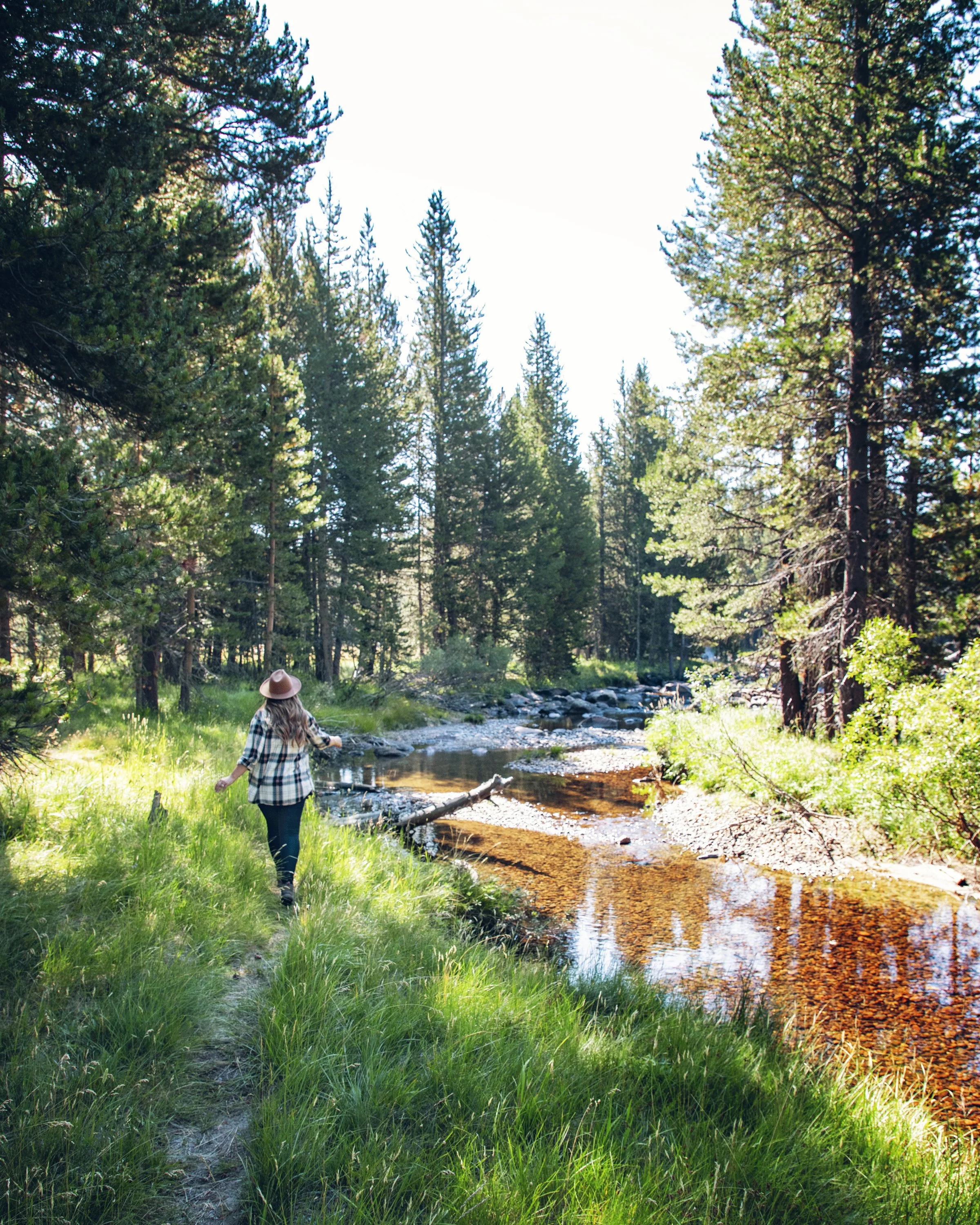 Soda Springs and Parsons Memorial Lodge - Yosemite National Park ...