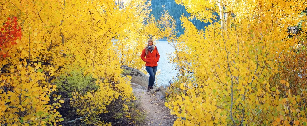 Eastern Sierra Fall Colors Complete Guide - Top 25 Spots — Flying Dawn ...