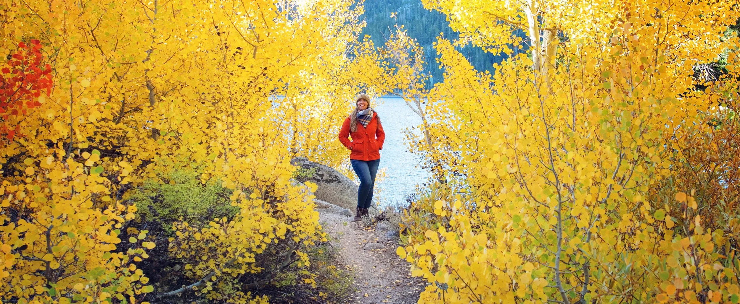 Eastern Sierra Fall Colors Complete Guide - Top 25 Spots — Flying Dawn ...
