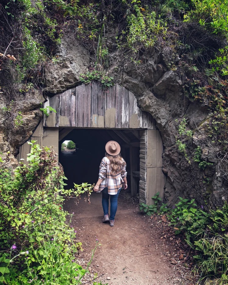 Partington Cove Trail in Big Sur — Flying Dawn Marie | Travel blog ...