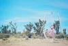 Mojave Magic — Flying Dawn Marie | Travel blog, guides & itineraries ...