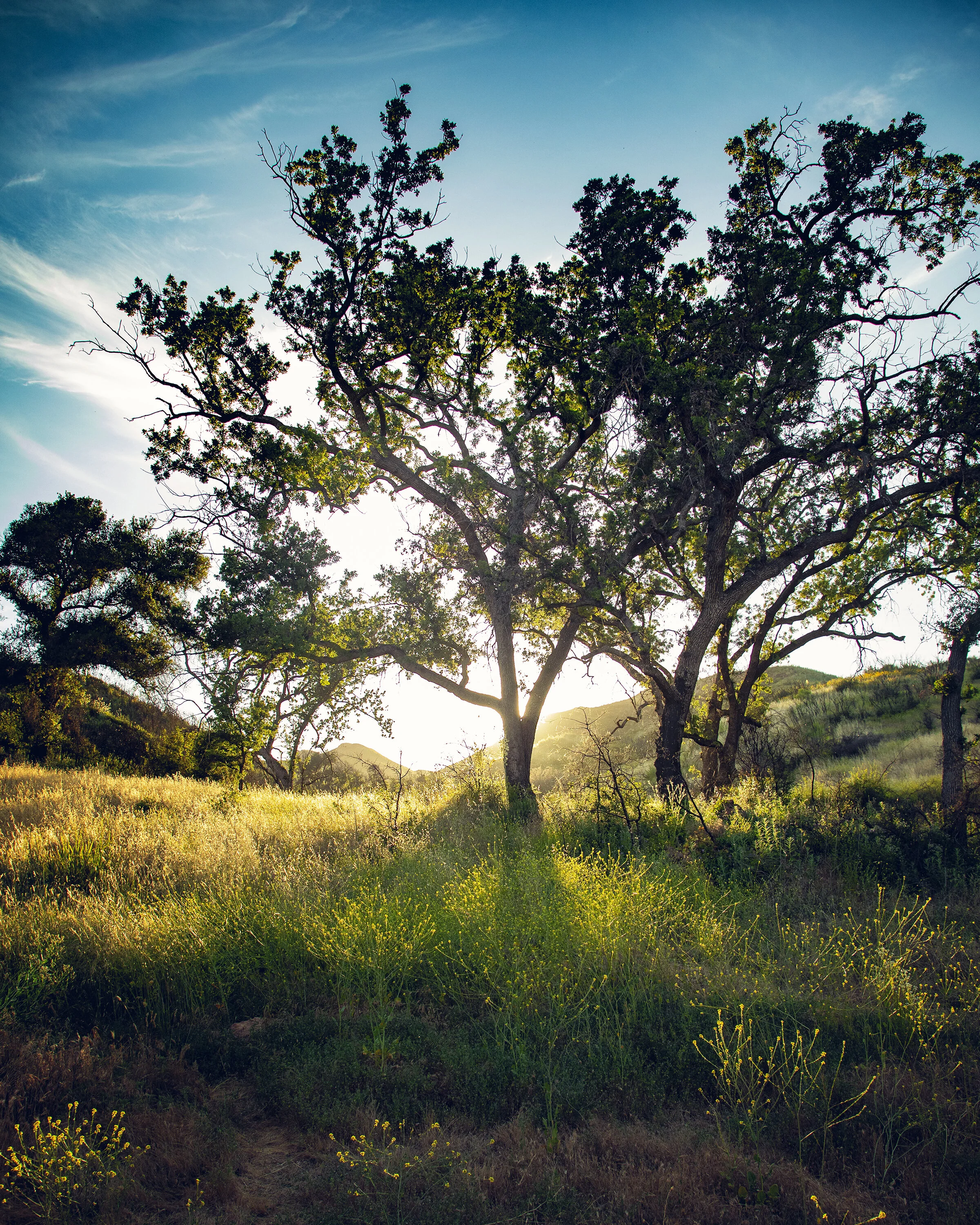 Paramount Ranch - Hollywood's Western Town — Flying Dawn Marie | Travel ...