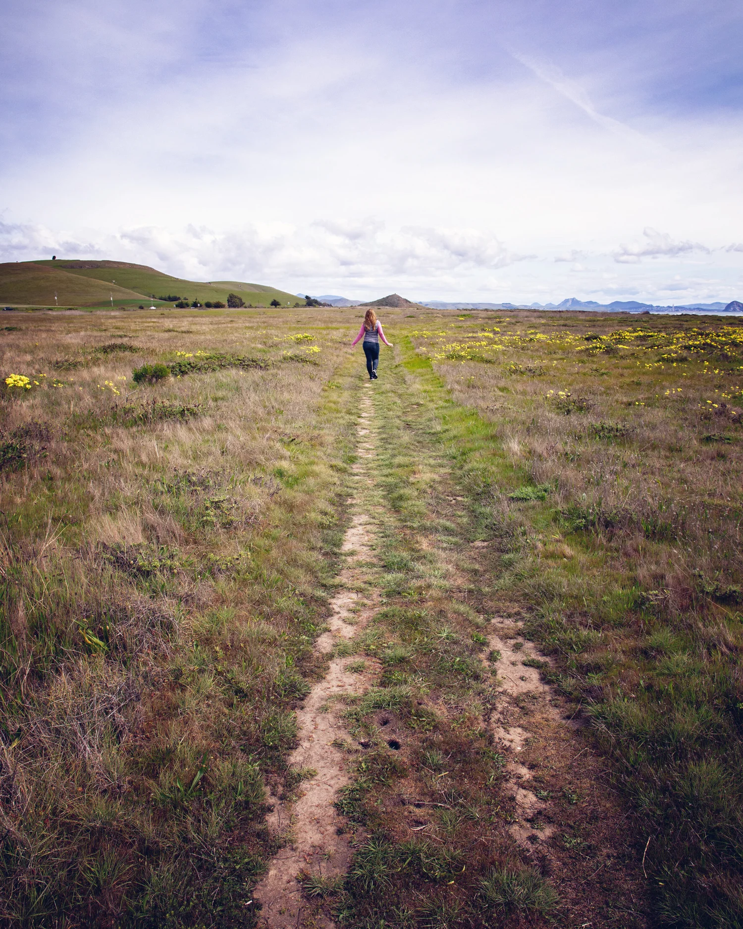 Estero Bluffs State Park, California — Flying Dawn Marie | Travel blog ...