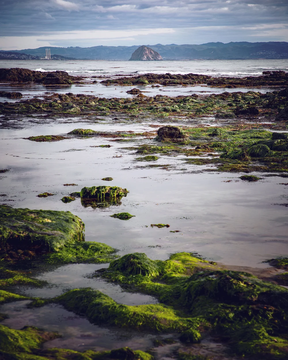 Estero Bluffs State Park, California — Flying Dawn Marie | Travel blog ...