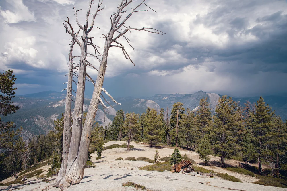 Sentinel Dome Hike (Yosemite National Park) — Flying Dawn Marie ...